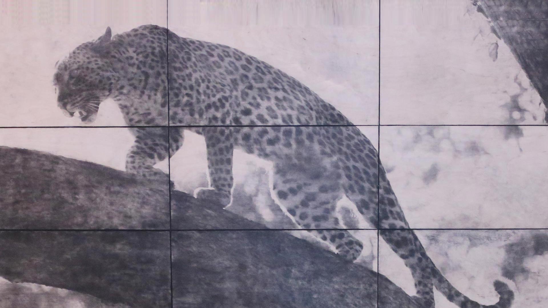 Home - Claude Dumont Beghi